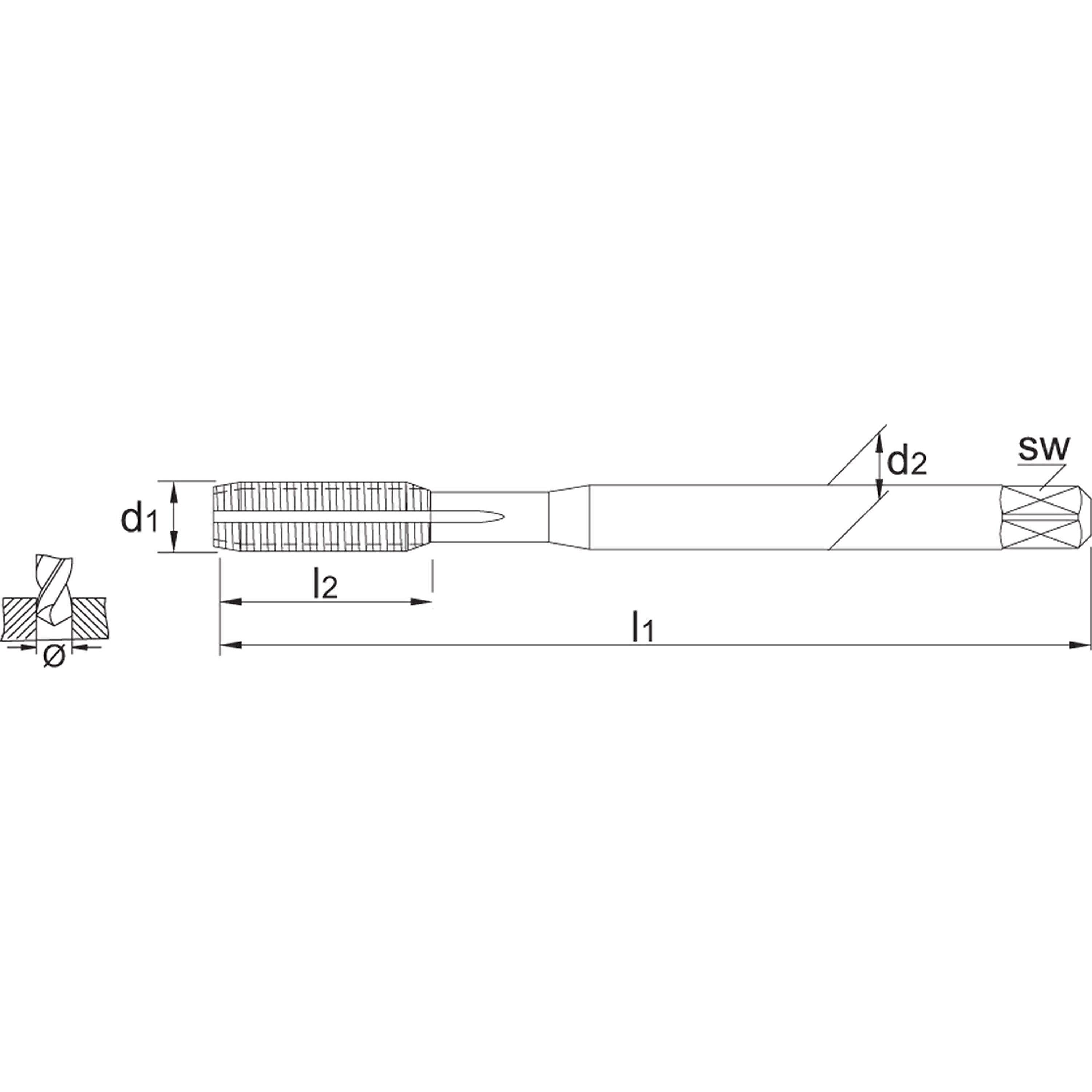 PHANTOM 261600600 HSS-E roltap DIN 2174 met smeergroef metrisch TiCN voor blinde en doorlopende ...